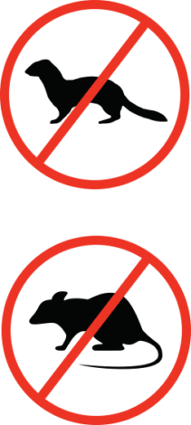 Humane Stoat, Rat, Ferret & Possum Traps | Predator traps made in NZ